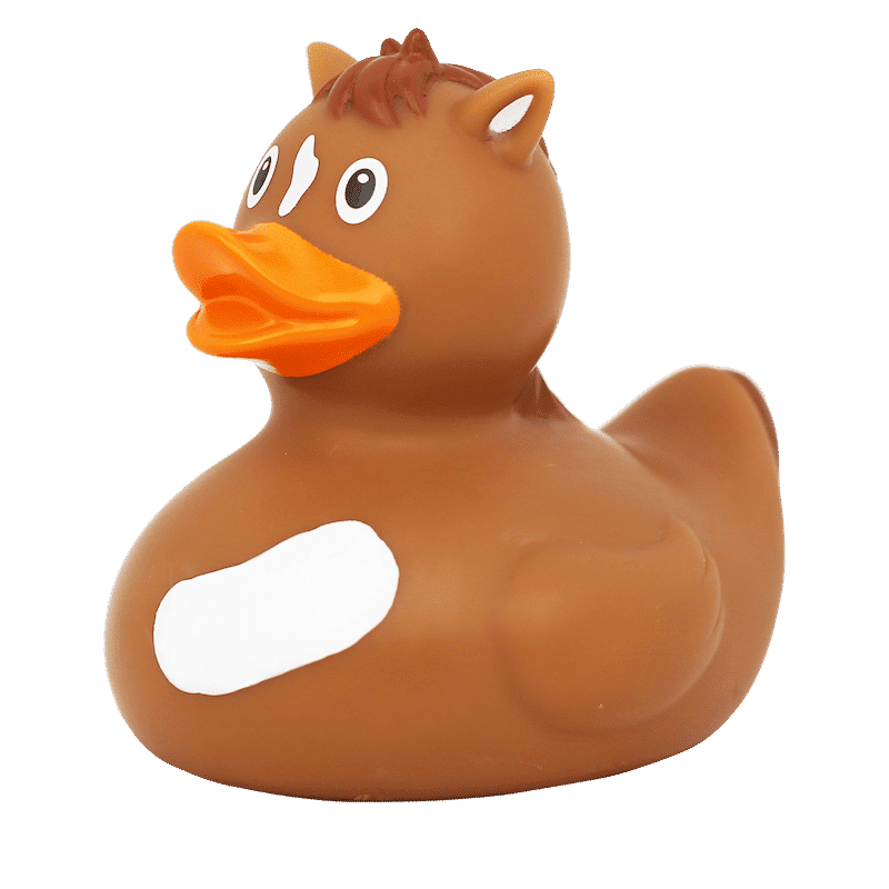 Paris Duck Store - La boutique la plus excentrique de Paris
